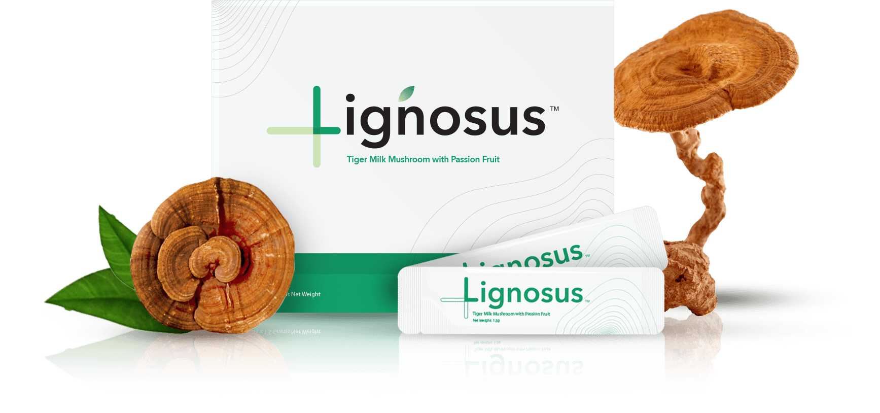 Lignosus - Meilleur complément naturel pour la santé respiratoire